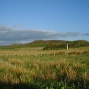 The Village of Reay, Walking at Archvarsadal Wood - Scotlandguides