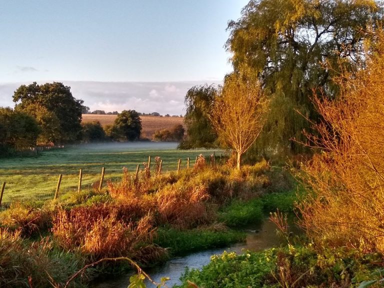 Mountain heaths and bogs in Scotland - Scotlandguides