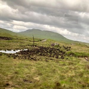 Mountain heaths and bogs in Scotland - Scotlandguides